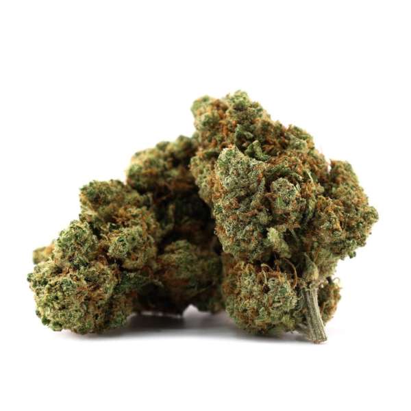 Découvrez l’Amnesia CBD Indoor